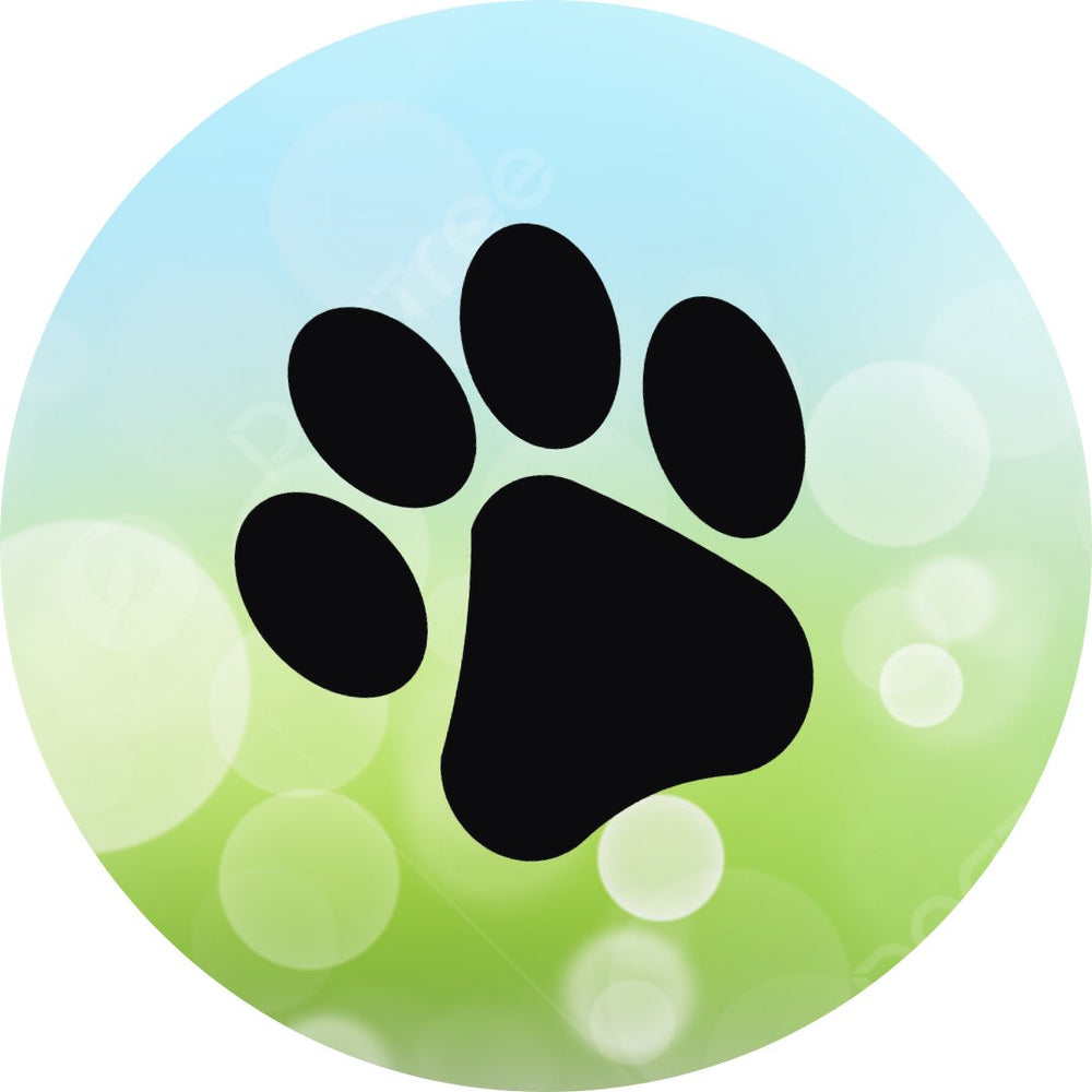 Collections – Galactic Goods